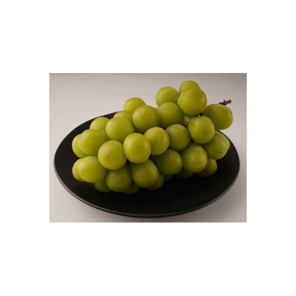 ■お礼品詳細　・配送種別：冷蔵便■お申し込み・配送・その他　・発送時期：2026-08-17〜2026-10-10　・申込受付期間：〜2026-09-27　・配達外のエリア：離島、北海道、沖縄県　・寄付証明書の送付時期目安：申込完了日から２...