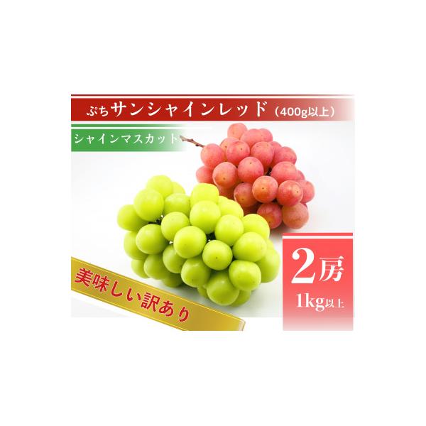■お礼品詳細　・配送種別：冷蔵便■お申し込み・配送・その他　・発送時期：2026-08-20〜2026-09-30（お届け時間帯指定可）　・申込受付期間：〜2026-09-25　・配達外のエリア：離島　・寄付証明書の送付時期目安：申込完了日...
