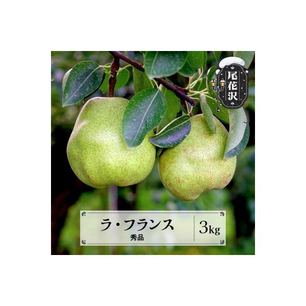 ■お礼品詳細　・配送種別：通常■お申し込み・配送・その他　・発送時期：2026-11-15〜2026-12-15（お届け時間帯指定可）　・申込受付期間：〜2026-10-31　・配達外のエリア：離島、沖縄県　・寄付証明書の送付時期目安：申込...