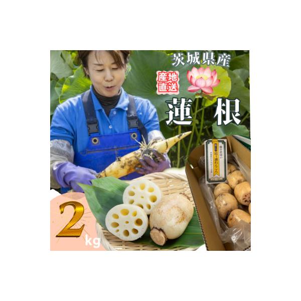 ■お礼品詳細　・配送種別：冷蔵便■お申し込み・配送・その他　・発送時期：2025-12-12〜2026-03-31（お届け時間帯指定可）　・申込受付期間：〜2026-03-26　・配達外のエリア：離島、沖縄県　・寄付証明書の送付時期目安：申...