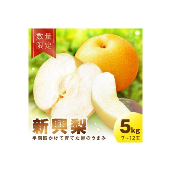 ■お礼品詳細　・配送種別：通常■お申し込み・配送・その他　・発送時期：2026-10-15〜2026-11-15　・申込受付期間：〜2026-09-30　・配達外のエリア：　・寄付証明書の送付時期目安：申込完了日から２週間程度　・提供元：フ...