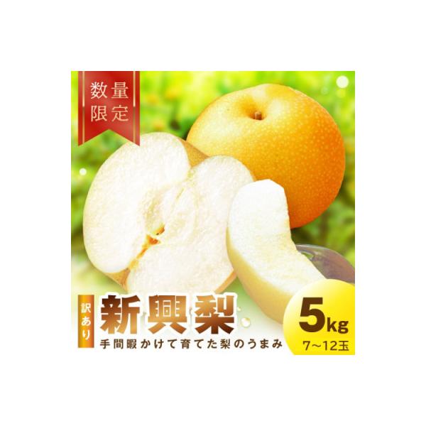 ■お礼品詳細　・配送種別：通常■お申し込み・配送・その他　・発送時期：2026-10-15〜2026-11-15　・申込受付期間：〜2026-09-30　・配達外のエリア：　・寄付証明書の送付時期目安：申込完了日から２週間程度　・提供元：フ...