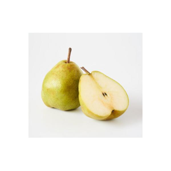 ■お礼品詳細　・配送種別：通常■お申し込み・配送・その他　・発送時期：2026-11-10〜2026-11-30（お届け時間帯指定可）　・申込受付期間：〜2026-10-31　・配達外のエリア：離島、沖縄県　・寄付証明書の送付時期目安：申込...