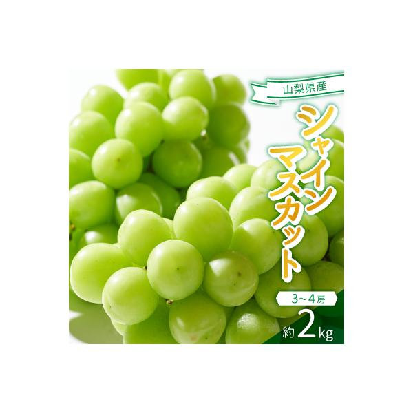 ■お礼品詳細　・配送種別：冷蔵便■お申し込み・配送・その他　・発送時期：2026-08-10〜2026-10-15（お届け時間帯指定可）　・申込受付期間：〜2026-09-15　・配達外のエリア：離島、沖縄県　・寄付証明書の送付時期目安：申...