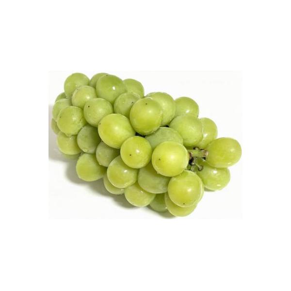 ■お礼品詳細　・配送種別：冷蔵便■お申し込み・配送・その他　・発送時期：2026-09-10〜2026-09-30（お届け時間帯指定可）　・申込受付期間：〜2026-08-31　・配達外のエリア：離島、北海道、沖縄県　・寄付証明書の送付時期...