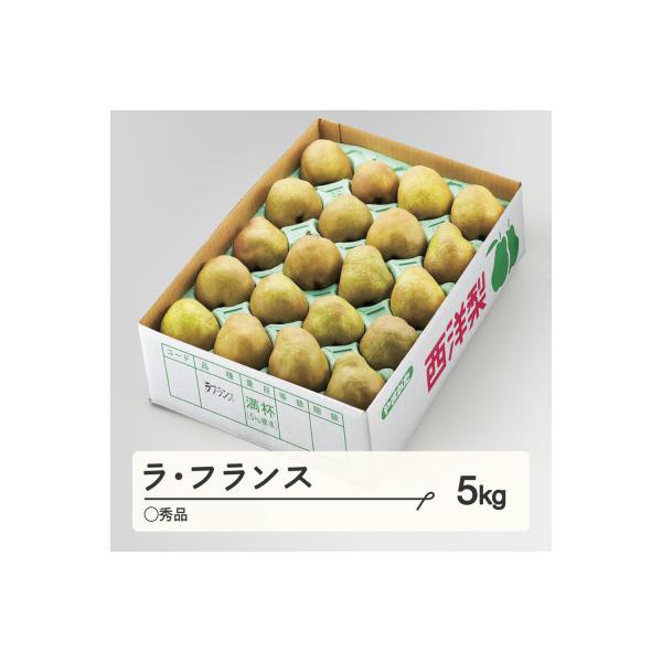 ■お礼品詳細　・配送種別：通常■お申し込み・配送・その他　・発送時期：2026/11/02〜2026/12/18（お届け時間帯指定可）　・申込受付期間：〜2026-10-31　・配達外のエリア：離島、北海道、沖縄県、信越、北陸、近畿、中国、...