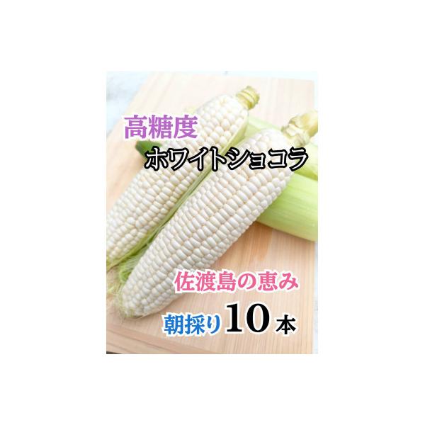 ■お礼品詳細　・配送種別：冷蔵便■お申し込み・配送・その他　・発送時期：2026/06/20〜2026/08/20（お届け時間帯指定可）　・申込受付期間：〜2026-08-10　・配達外のエリア：離島、北海道、沖縄県　・寄付証明書の送付時期...