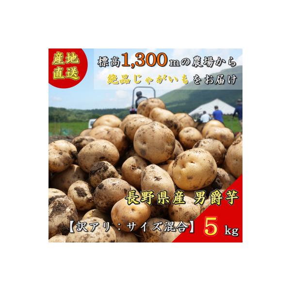 ■お礼品詳細　・配送種別：通常■お申し込み・配送・その他　・発送時期：2026-01-07〜2026-02-28（お届け時間帯指定可）　・申込受付期間：〜2026-01-31　・配達外のエリア：　・寄付証明書の送付時期目安：申込完了日から２...