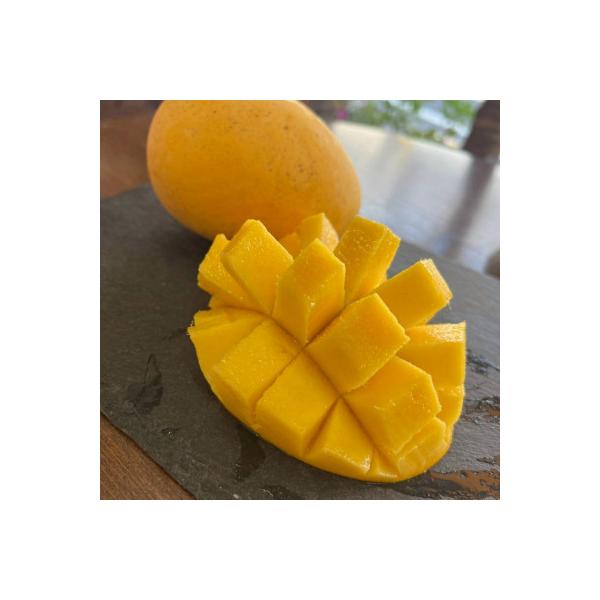 ■お礼品詳細　・配送種別：冷蔵便■お申し込み・配送・その他　・発送時期：2026-07-15〜2026-08-31（お届け時間帯指定可）　・申込受付期間：〜2026-07-20　・配達外のエリア：離島　・寄付証明書の送付時期目安：申込完了日...