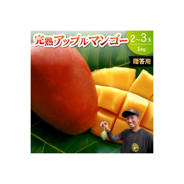 ■お礼品詳細　・配送種別：冷蔵便■お申し込み・配送・その他　・発送時期：2026-06-25〜2026-07-31（お届け時間帯指定可）　・申込受付期間：〜2026-06-30　・配達外のエリア：離島　・寄付証明書の送付時期目安：申込完了日...