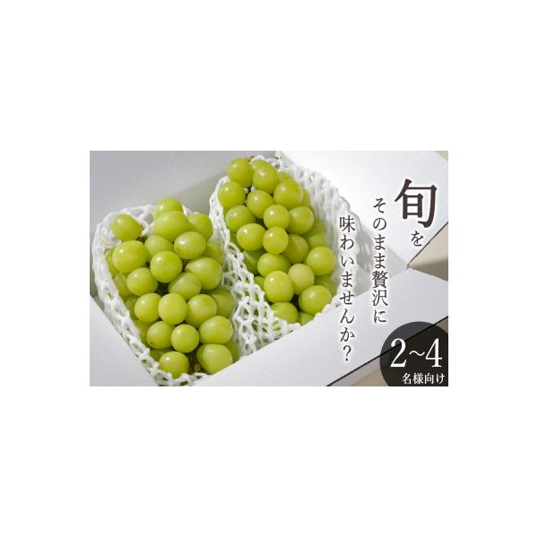 ■お礼品詳細　・配送種別：冷蔵便■お申し込み・配送・その他　・発送時期：2026-08-20〜2026-10-05（お届け時間帯指定可）　・申込受付期間：〜2026-08-25　・配達外のエリア：離島　・寄付証明書の送付時期目安：申込完了日...