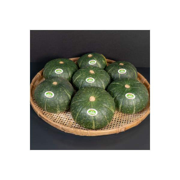 ■お礼品詳細　・配送種別：通常■お申し込み・配送・その他　・発送時期：2026/08/20〜2026-09-30（お届け時間帯指定可）　・申込受付期間：〜2026-09-10　・配達外のエリア：　・寄付証明書の送付時期目安：申込完了日から1...