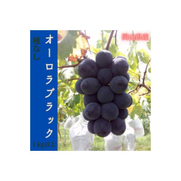 ■お礼品詳細　・配送種別：冷蔵便■お申し込み・配送・その他　・発送時期：2026-08-26〜2026-09-13（お届け時間帯指定可）　・申込受付期間：〜2026-08-31　・配達外のエリア：離島　・寄付証明書の送付時期目安：申込完了日...