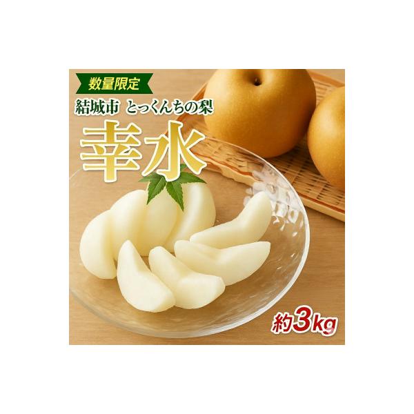 ■お礼品詳細　・配送種別：通常■お申し込み・配送・その他　・発送時期：2026-08-01〜2026-08-20（お届け時間帯指定可）　・申込受付期間：〜2026-07-21　・配達外のエリア：離島　・寄付証明書の送付時期目安：申込完了日か...