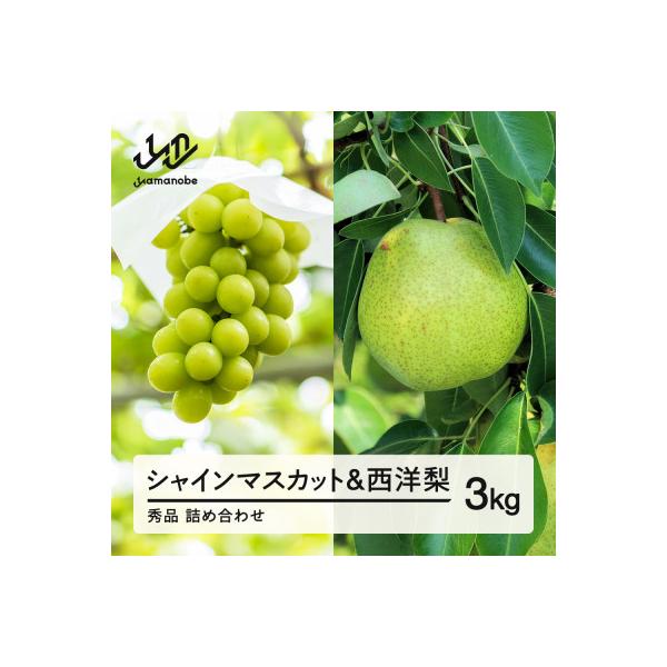 ■お礼品詳細　・配送種別：冷蔵便■お申し込み・配送・その他　・発送時期：2026-09-01〜2026-09-30（お届け時間帯指定可）　・申込受付期間：〜2026-07-31　・配達外のエリア：離島、沖縄県　・寄付証明書の送付時期目安：申...
