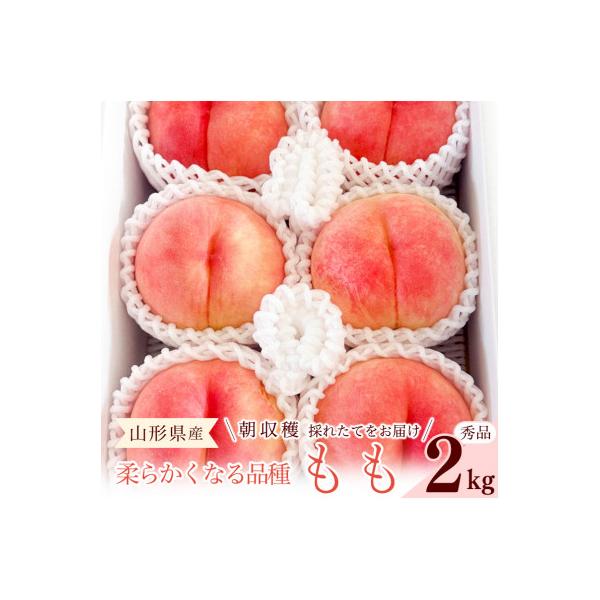 ■お礼品詳細　・配送種別：通常■お申し込み・配送・その他　・発送時期：2026-08-01〜2026-09-30（お届け時間帯指定可）　・申込受付期間：〜2026-07-20　・配達外のエリア：離島、沖縄県　・寄付証明書の送付時期目安：申込...