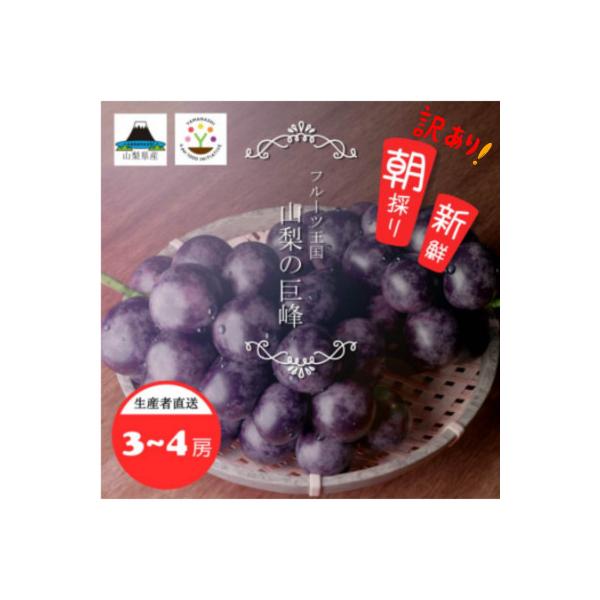 ■お礼品詳細　・配送種別：冷蔵便■お申し込み・配送・その他　・発送時期：2026/07/12〜2026/08/31（お届け時間帯指定可）　・申込受付期間：〜2026-06-30　・配達外のエリア：離島、沖縄県　・寄付証明書の送付時期目安：申...