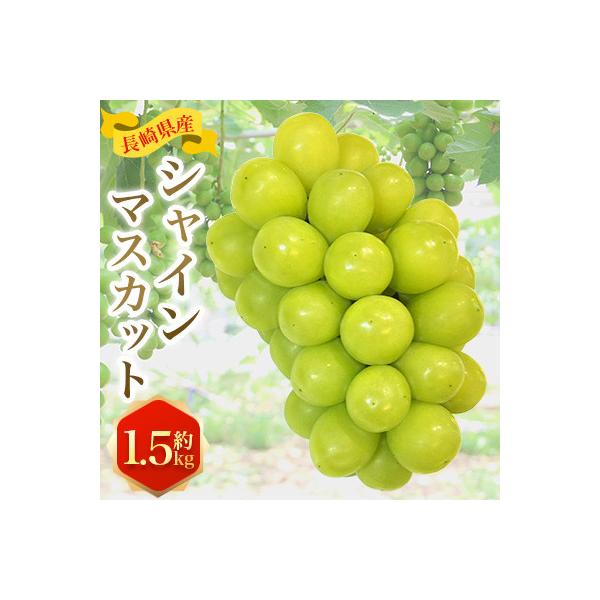 ■お礼品詳細　・配送種別：冷蔵便■お申し込み・配送・その他　・発送時期：2026-09-07〜2026-09-21（お届け時間帯指定可）　・申込受付期間：〜2026-09-13　・配達外のエリア：離島　・寄付証明書の送付時期目安：申込完了日...