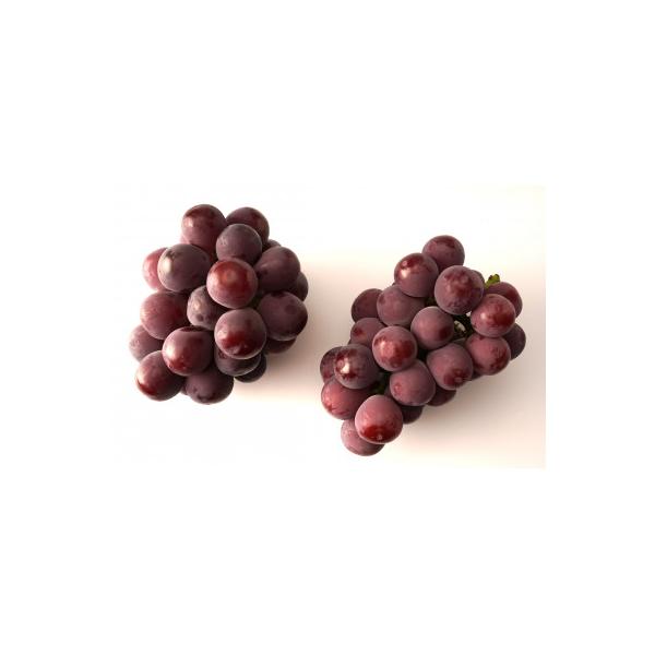 ■お礼品詳細　・配送種別：冷蔵便■お申し込み・配送・その他　・発送時期：2026/08/13〜2026/10/10　・申込受付期間：〜2026-09-13　・配達外のエリア：離島、北海道、沖縄県　・寄付証明書の送付時期目安：申込完了日から２...