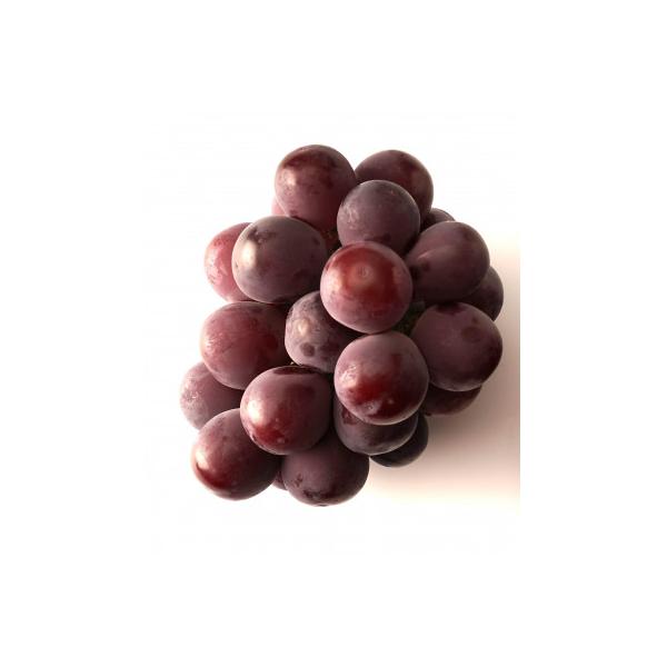 ■お礼品詳細　・配送種別：冷蔵便■お申し込み・配送・その他　・発送時期：2026/08/13〜2026/10/10　・申込受付期間：〜2026-09-13　・配達外のエリア：離島、北海道、沖縄県　・寄付証明書の送付時期目安：申込完了日から２...