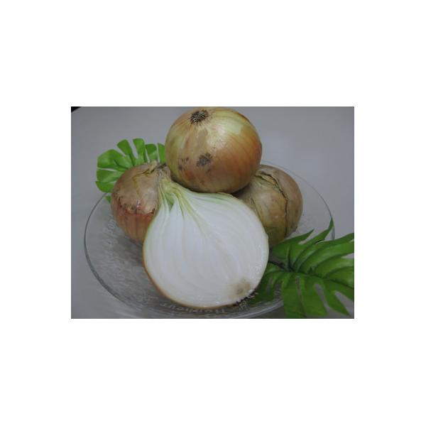 ■お礼品詳細　・配送種別：通常■お申し込み・配送・その他　・発送時期：2026-03-23〜2026-05-30　・申込受付期間：〜2026-05-10　・配達外のエリア：　・寄付証明書の送付時期目安：申込完了日から２週間程度　・提供元：（...