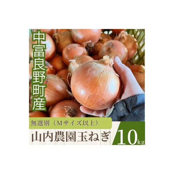 ■お礼品詳細　・配送種別：通常■お申し込み・配送・その他　・発送時期：2026-08-16〜2026-10-25（お届け時間帯指定可）　・申込受付期間：〜2026-09-20　・配達外のエリア：　・寄付証明書の送付時期目安：申込完了日から1...