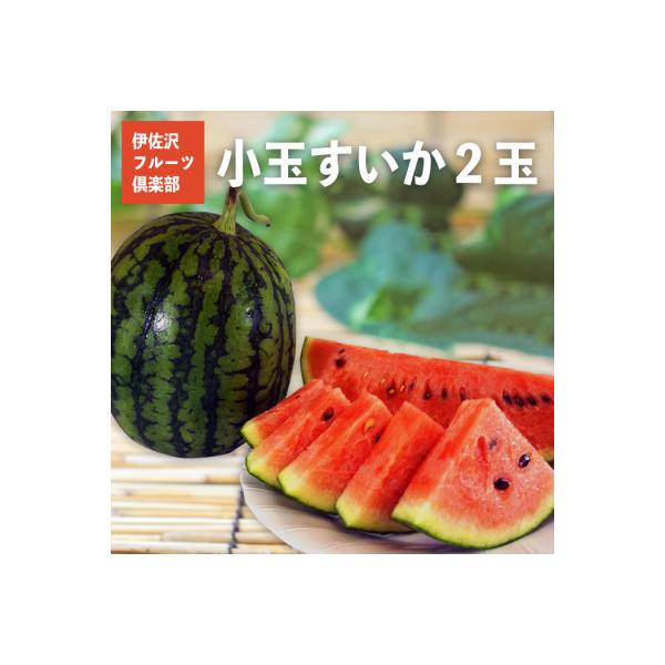 ■お礼品詳細　・容量：約1.9kg〜3.5kg×2玉　・賞味期限：発送日から7日程度　・アレルギー：対象となるアレルギー品目はありません　・配送：常温　・協力事業者：伊佐沢フルーツ倶楽部■お申し込み・配送・その他　・発送時期：2026年7月...