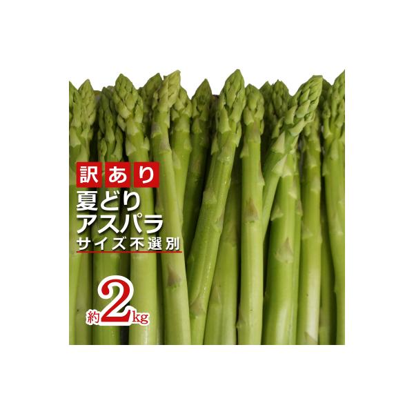 ■お礼品詳細　・容量：S〜2Lサイズ・2kg　・賞味期限：発送日から5日程度　・アレルギー：特定原材料等28品目は使用しておりません　・配送：冷蔵　・協力事業者：長井中央青果■お申し込み・配送・その他　・発送時期：2026年07月中旬頃〜0...