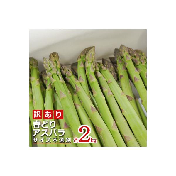 ■お礼品詳細　・容量：S〜2Lサイズ・約2kg　・賞味期限：発送日から5日程度　・アレルギー：特定原材料等28品目は使用しておりません　・配送：冷蔵　・協力事業者：長井中央青果■お申し込み・配送・その他　・発送時期：2026年04月下旬頃〜...