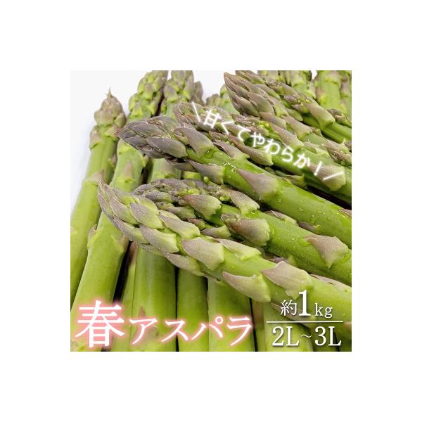 ■お礼品詳細　・容量：2L〜3Lサイズ・約1kg　・賞味期限：発送日から5日程度　・アレルギー：特定原材料等28品目は使用しておりません　・配送：冷蔵　・協力事業者：長井中央青果■お申し込み・配送・その他　・発送時期：2026年04月下旬頃...