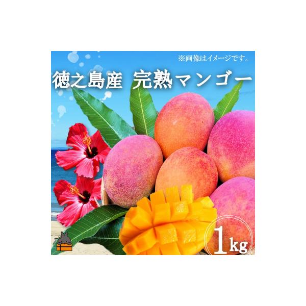 ■お礼品詳細　・配送：冷蔵配送■お申し込み・配送・その他　・発送時期：※こちらの返礼品は2026年7月〜8月にお届けする先行予約の返礼品となります。旬を迎える7月下旬〜8月に配送致します。※天候により若干期間が変わる可能性がございます。※複...