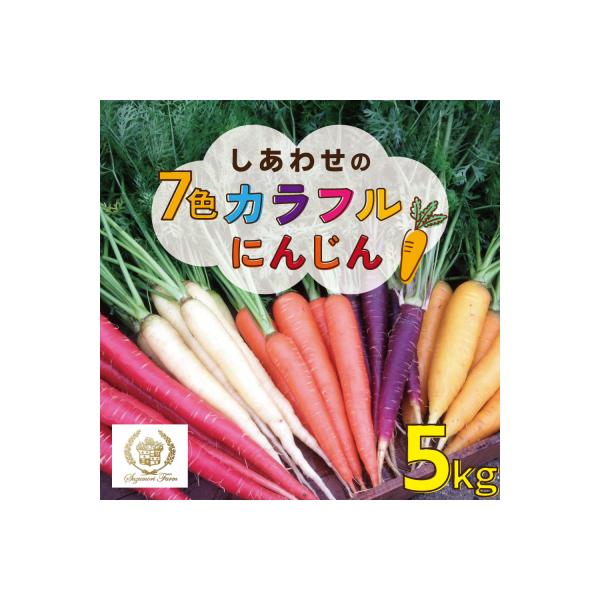 ■お礼品詳細　・内容量：鈴盛農園産　カラフル人参(7色アソート)5kg　約20〜30本入　・配送方法：常温　・消費期限：出荷日から5日程度　※青果物ですのでお早めにお召し上がりください。　・アレルギー：特定原材料7品目および特定原材料に準ず...