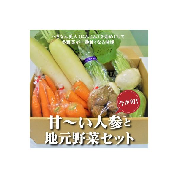 ■お礼品詳細　・内容量：にんじん、大根、かぶ、キャベツ等(野菜の組合せと量は変更有)　・配送方法：常温　・消費期限：出荷日+5日※生鮮食品のためお早めにお召し上がり下さい。　・保存方法：新聞紙でくるみ冷暗所で保管　・発送に関して：2026年...