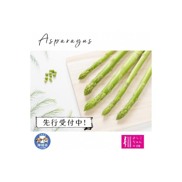 ■お礼品詳細　・内容量：アスパラガス1.2kg(大、中、小混合)　・配送方法：冷蔵便　・消費期限：発送日から5日　・発送不可地域：離島■お申し込み・配送・その他　・発送時期：受付順にR8年3月1日〜R8年5月31日の期間に発送致します。　・...