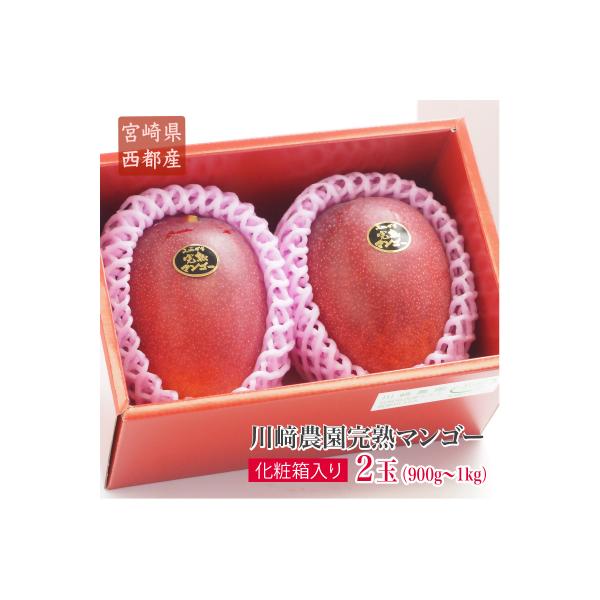 ■お礼品詳細　・内容量：2玉入り（900ｇ以上1000ｇ未満）　・消費期限：出荷日より１週間程度（冷蔵庫に保管の上、お早めにお召し上がりください）　・発送方法：冷蔵便　・提供事業者：川崎農園■お申し込み・配送・その他　・発送時期：令和8年4...