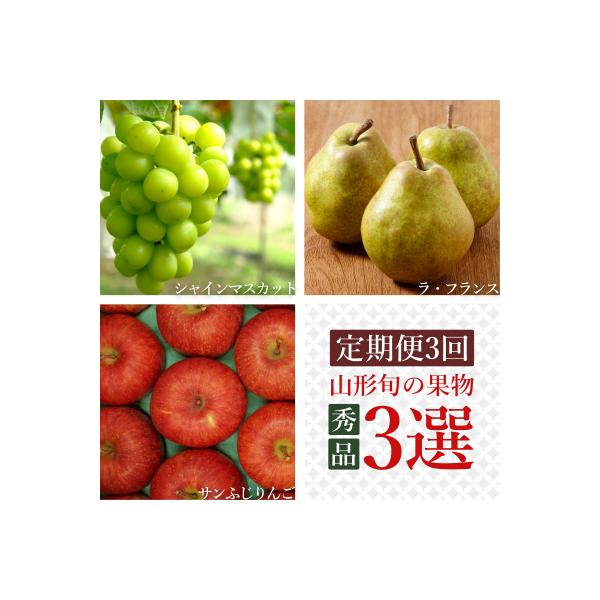 ■お礼品詳細　・アレルギー：りんご　・配送：常温,冷蔵　・協力事業者：長井中央青果■お申し込み・配送・その他　・発送時期：1回目:シャインマスカット(9月上旬頃〜10月下旬頃)2回目:ラ・フランス(11月中旬頃〜12月中旬頃)3回目:サンふ...