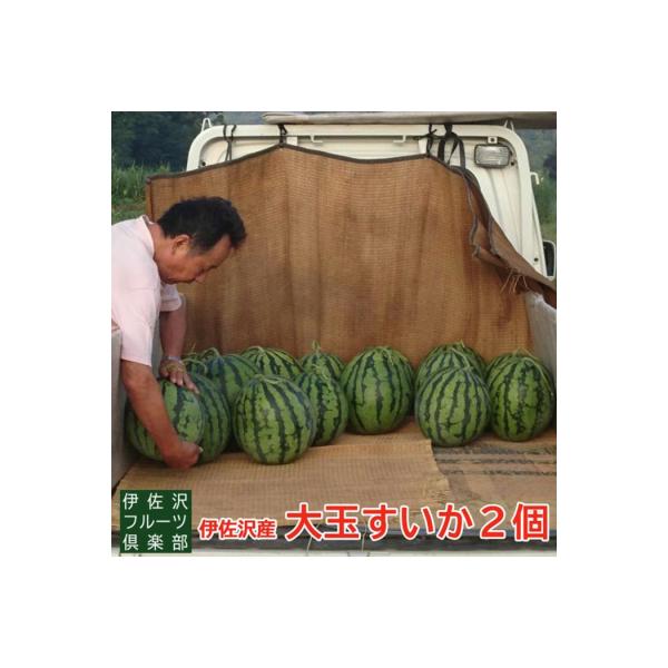 ■お礼品詳細　・容量：約8kg〜11kg×2玉　・賞味期限：発送日から7日程度　・アレルギー：対象となるアレルギー品目はありません　・配送：常温　・協力事業者：伊佐沢フルーツ倶楽部■お申し込み・配送・その他　・発送時期：2026年7月下旬頃...