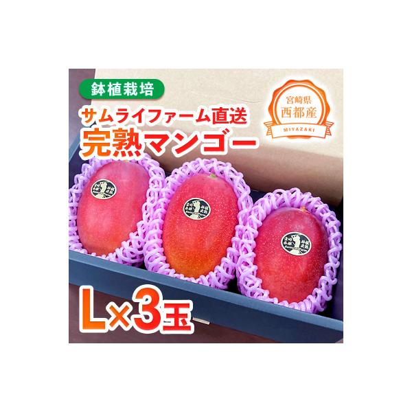 ■お礼品詳細　・内容量：L×3個（合計975g以上）　・消費期限：出荷日より１週間程度（冷蔵庫に保管の上、お早めにお召し上がりください）　・発送方法：冷蔵便　・提供事業者：サムライファーム西都株式会社■お申し込み・配送・その他　・発送時期：...