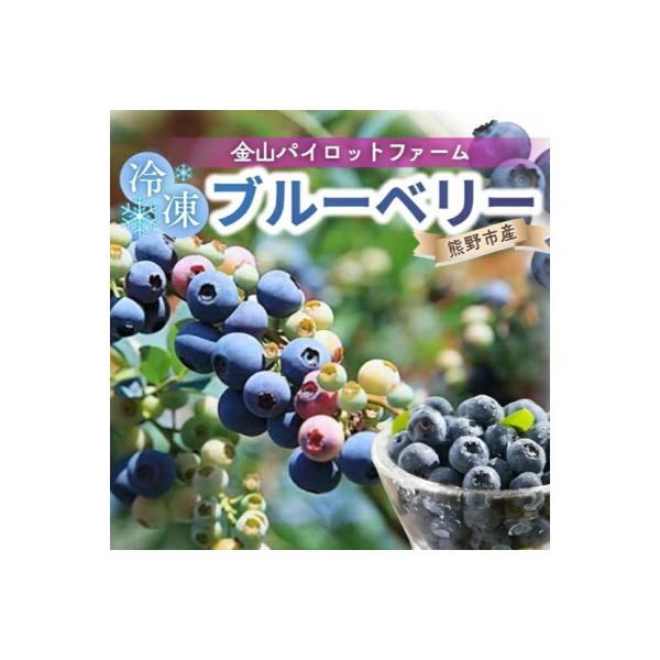 ■お礼品詳細　・賞味期限：冷凍1カ月程度■お申し込み・配送・その他　・発送時期：2026年9月頃から発送予定※準備でき次第、順次発送になります。※収穫状況や気象の影響、自然災害により、発送時期が前後することがあります。　・申込受付期間：通年...