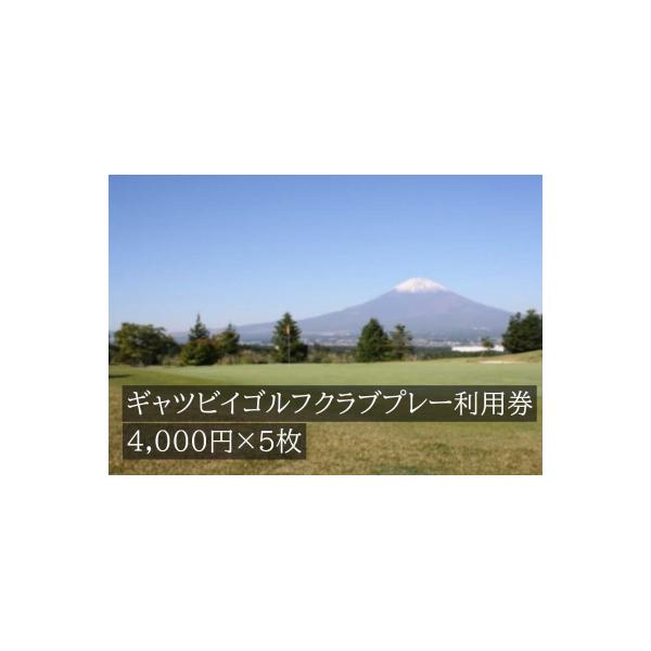 ■お礼品詳細　・有効期限：発行日から1年間　・配送方法：通常便■お申し込み・配送・その他　・発送時期：入金確認後、2週間以内に発送　・申込受付期間：通年　・配達外のエリア：　・寄付証明書の送付時期目安：申込完了日から２ヵ月程度　・提供元：小山町