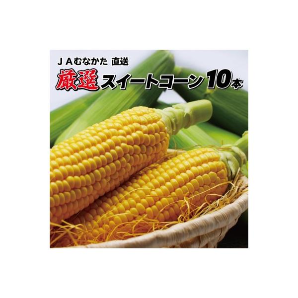 ■お礼品詳細　・内容量：とうもろこし(10本/2Lサイズ以上)　・配送不可地域：配送会社の配送不可地域　・消費期限：発送日より冷蔵で7日程度　・配送方法：冷蔵　・のし対応：不可　・事業者：JAむなかた農産物直売所「ほたるの里」:福岡県宗像市...