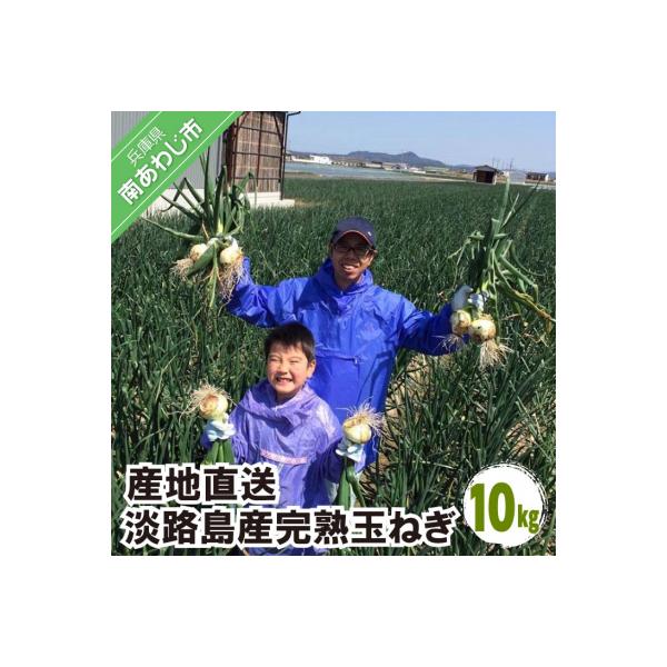 ■お礼品詳細■お申し込み・配送・その他　・発送時期：例年5月中旬から12月頃までの発送となります。※生鮮品のため、到着後は箱から出して保存し、お早めにお召し上がりください。※消費期限経過後に傷み等のご連絡をいただいた場合、返品・交換はご対応...