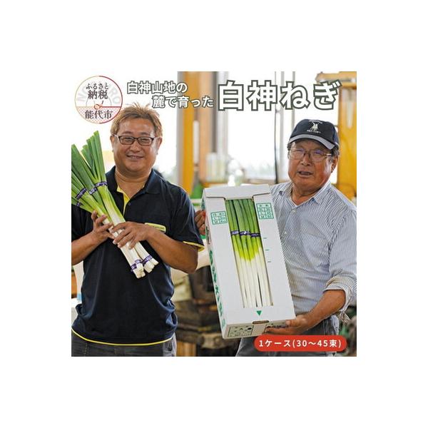 ■お礼品詳細　・配送方法：冷蔵　・事業者：あきた白神農業協同組合■お申し込み・配送・その他　・発送時期：2025年8月上旬頃から2026年2月下旬頃まで　・申込受付期間：2026年2月15日まで受付　・配達外のエリア：離島、沖縄県　・寄付証...