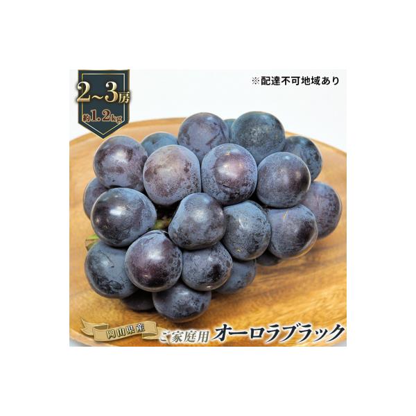 ■お礼品詳細　・内容量：ご家庭用 オーロラブラック 2〜3房 合計約1.2kg 岡山県内産（5条8号ハ）　・賞味期限：出荷日より冷蔵5日　・配送方法：冷蔵配送　・事業者：晴れの国おかやま館(つむぐ株式会社)　・備考：お届け日、時間の指定は申...