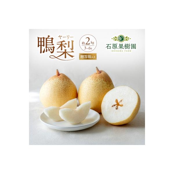 ■お礼品詳細　・内容量：鴨梨（ヤーリー）3〜6玉 合計約2kg 岡山県内産（5条8号ハ）　・賞味期限：出荷日より常温7日（冷暗所で保管してください）　・配送方法：常温配送　・事業者：石原果樹園　・備考：お届け日の指定、時間帯の指定は申し訳な...