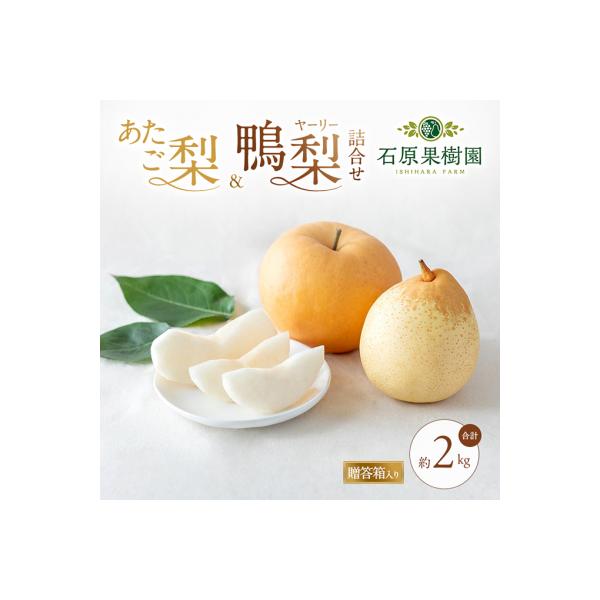 ■お礼品詳細　・内容量：あたご梨 1〜2玉・鴨梨（ヤーリー）2玉 合計約2kg 岡山県内産（5条8号ハ）　・賞味期限：出荷日より常温7日（冷暗所で保管してください）　・配送方法：常温配送　・事業者：石原果樹園　・備考：玉数の指定、お届け日の...