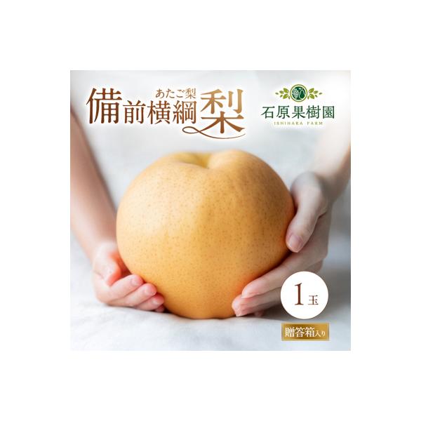 ■お礼品詳細　・内容量：備前横綱梨（あたご梨）1玉 （1kg〜1.4kg） 岡山県内産（5条8号ハ）　・賞味期限：出荷日より常温7日（冷暗所で保管してください）　・配送方法：常温配送　・事業者：石原果樹園　・備考：お届け日の指定、時間帯の指...
