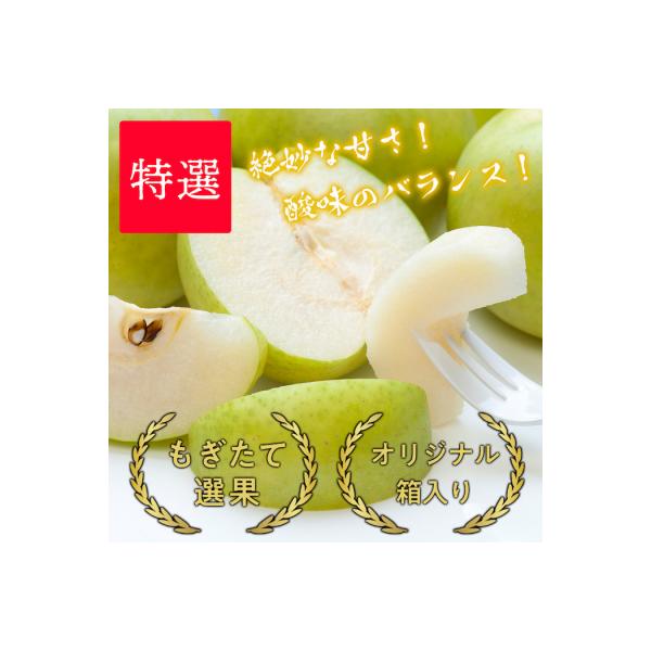 ■お礼品詳細　・内容量：二十世紀梨〔等級〕赤秀〔サイズ〕 4L〜5L〔容量〕6玉 2.4kg(個包装)　・賞味期限：出荷日から常温1週間程度　・配送方法：通常　・事業者名：株式会社やずふれあい市場■お申し込み・配送・その他　・発送時期：20...