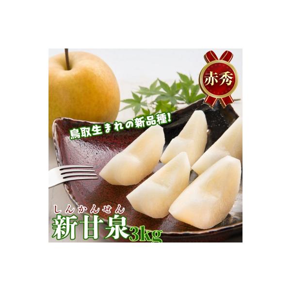 ■お礼品詳細　・内容量：梨　新甘泉〔等級〕赤秀〔容量〕6〜8玉 3kg　・賞味期限：出荷日から7日間（目安）　・配送方法：通常　・事業者名：こおげフレンドセンター■お申し込み・配送・その他　・発送時期：2026年8月25日から9月10日頃に...