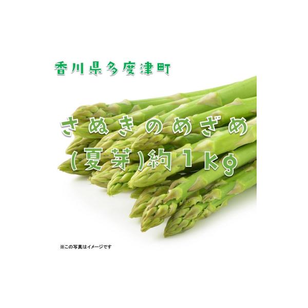 ■お礼品詳細　・配送方法 ：クール便（冷蔵）■お申し込み・配送・その他　・発送時期：6月中旬〜9月上旬の限定発送。　・申込受付期間：現在予約受付中です。　・配達外のエリア：　・寄付証明書の送付時期目安：申込完了日から３週間程度　・提供元：多度津町